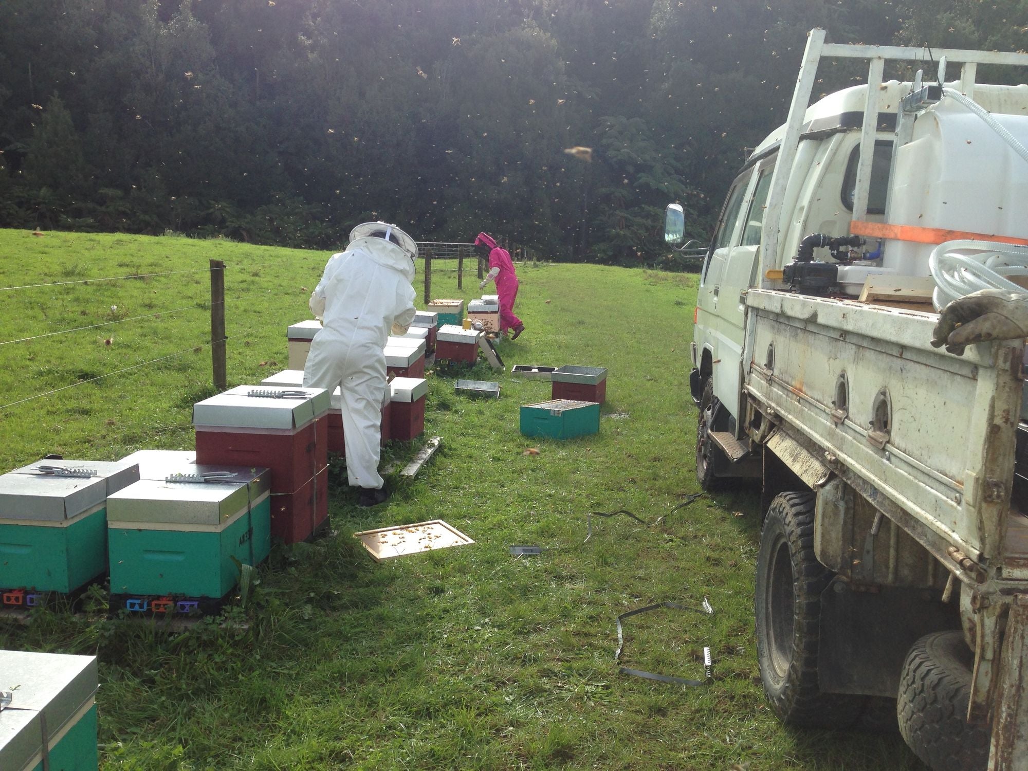 More hives, more honey - Ecrotek Beekeeping Supplies Australia