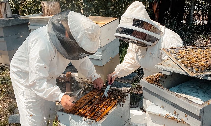 Articles Tagged "Beekeeping 101" - Ecrotek Beekeeping Supplies Australia