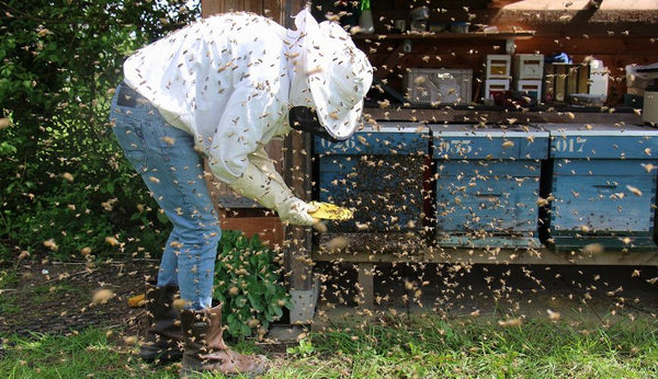 Beekeeping Safety Guidelines - Ecrotek Beekeeping Supplies Australia