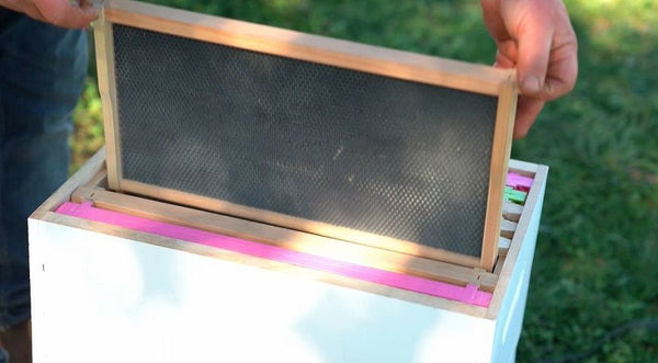 Beekeeping 101: Super Sizes - Ecrotek Beekeeping Supplies Australia