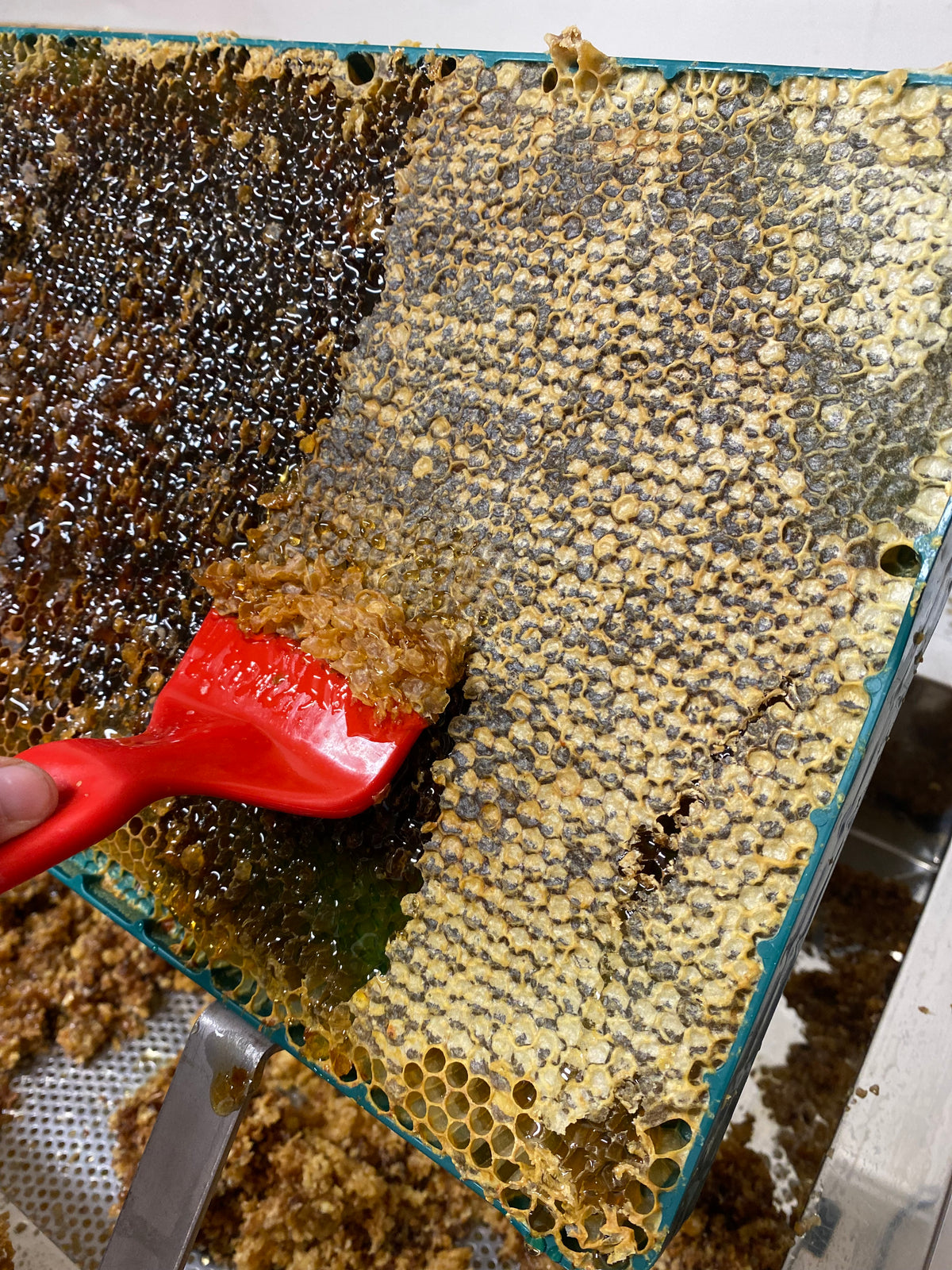 Lega Red Capping Scratcher - Ecrotek Beekeeping Supplies Australia