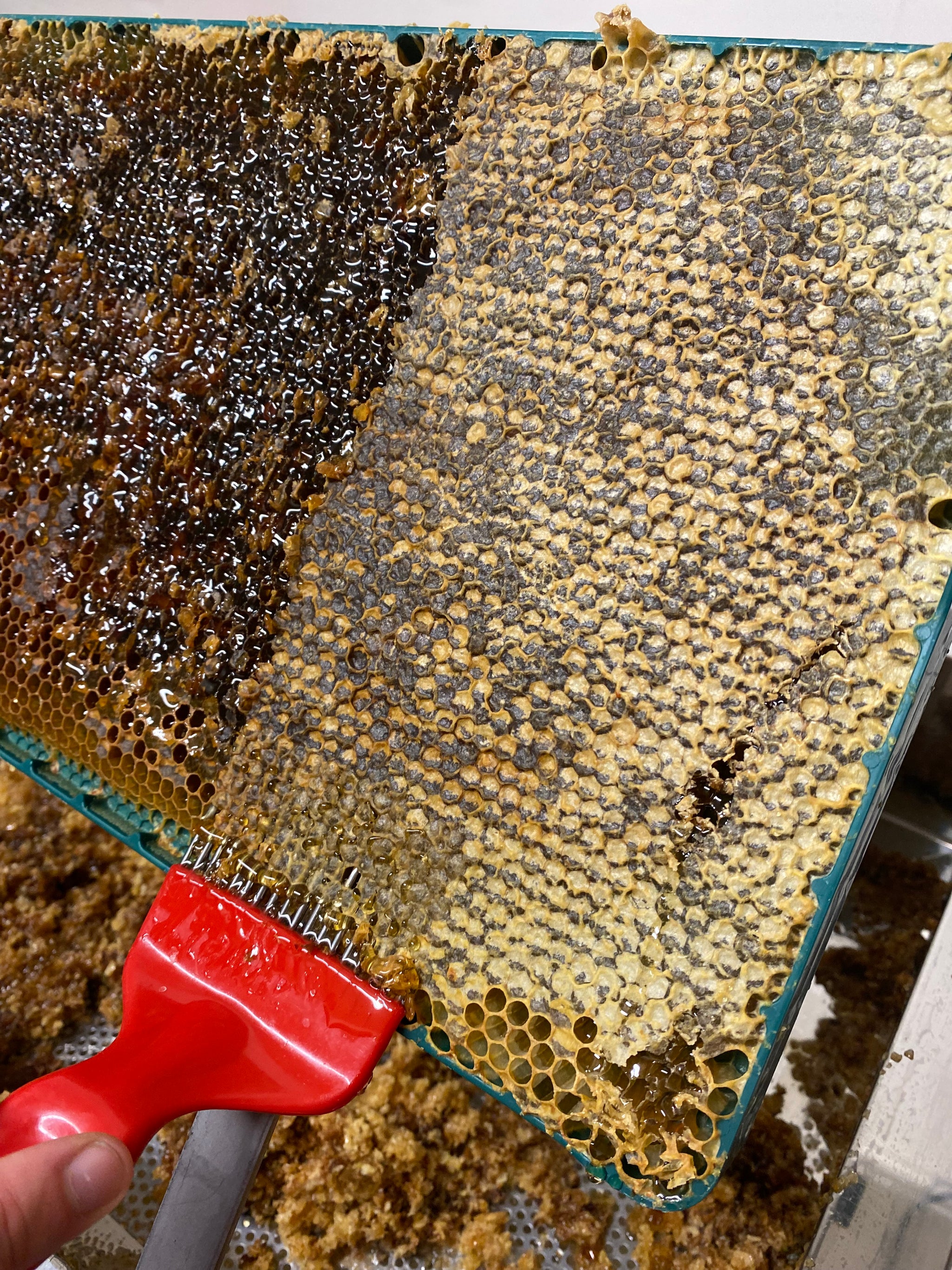 Lega Red Capping Scratcher - Ecrotek Beekeeping Supplies Australia