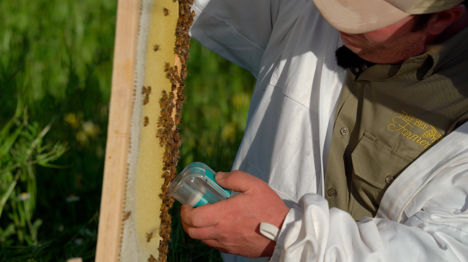 One Hand Queen Catcher - Ecrotek Beekeeping Supplies Australia