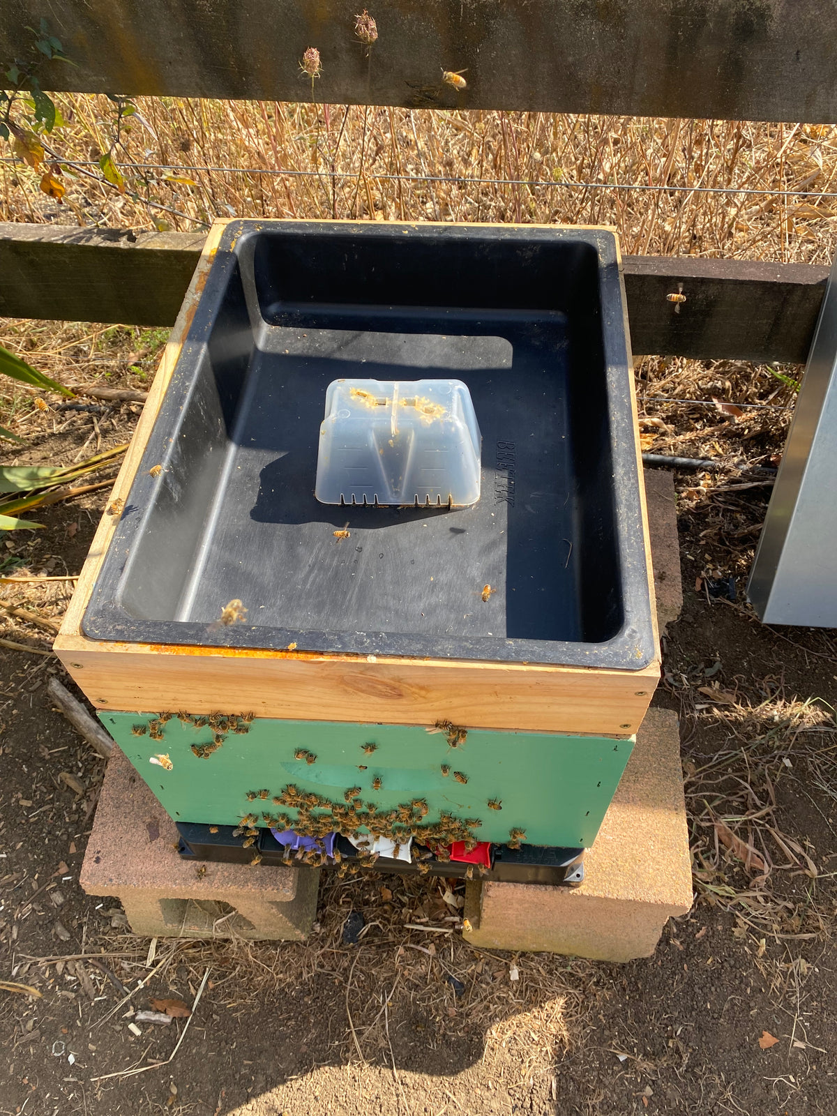 9.5L Beetek Top Feeder - 10 Frame - Ecrotek Beekeeping Supplies Australia