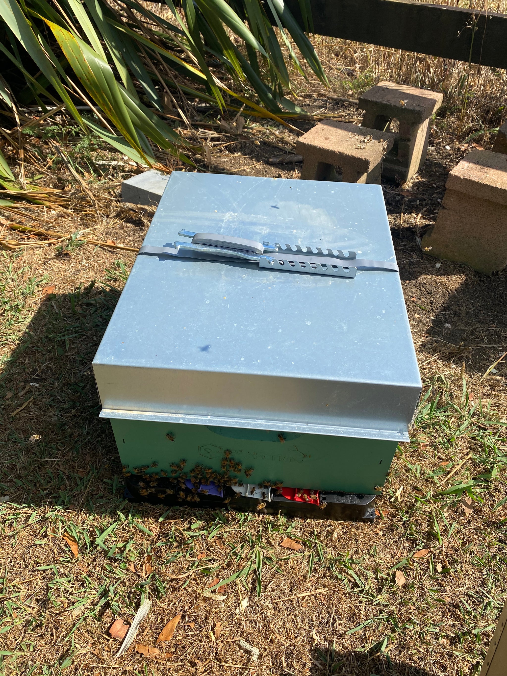 Galvanised Hive Strap - Complete - Ecrotek Beekeeping Supplies Australia