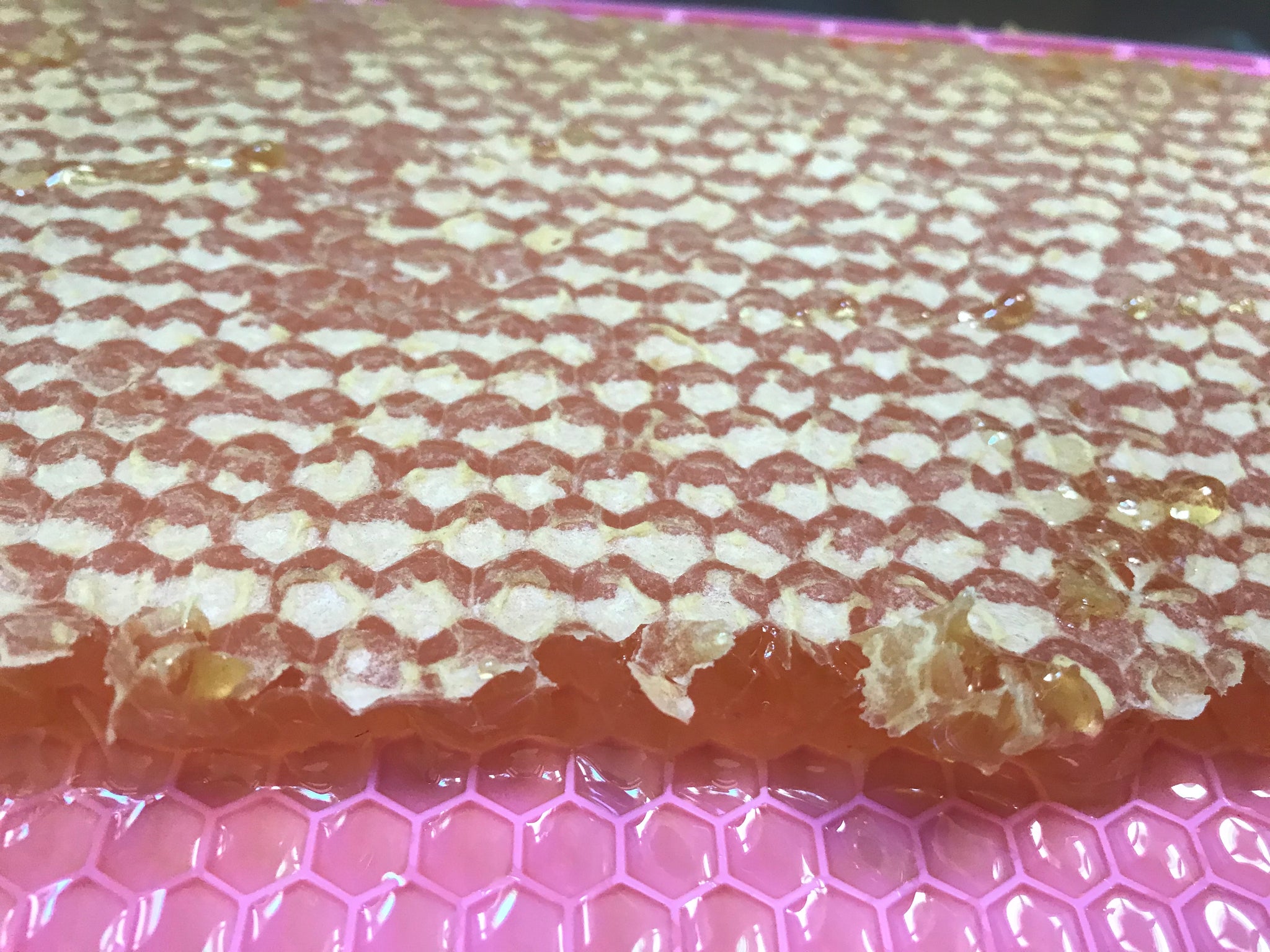 HoneyMax Hoffman Pink Frame - 3/4 Depth - Ecrotek Beekeeping Supplies ...