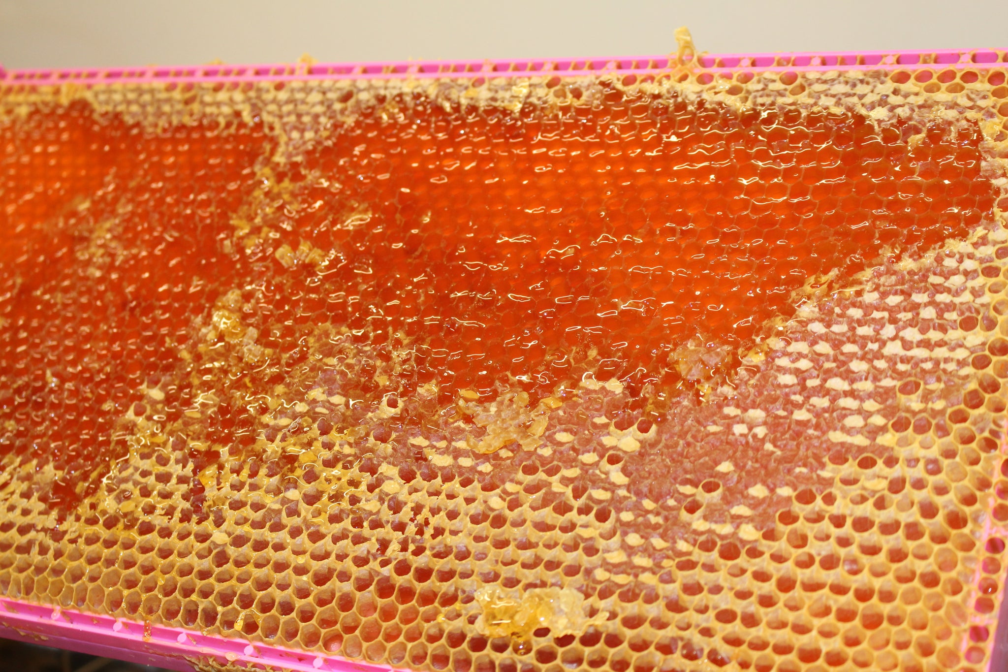 HoneyMax Hoffman Pink Frame - 3/4 Depth - Ecrotek Beekeeping Supplies ...