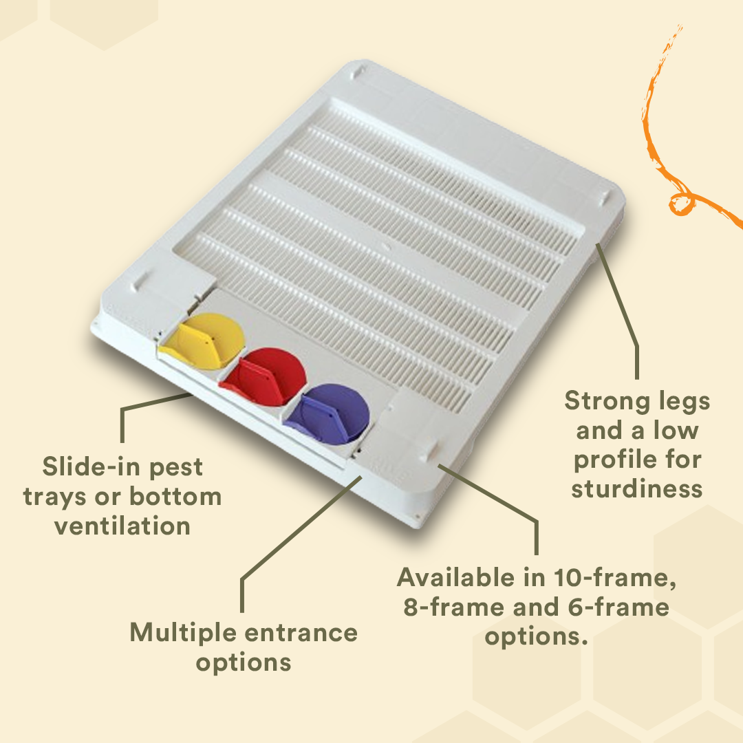 Hive Doctor Varroa Bottom Board - Ventilated with Triple Disc - 10 Fra ...