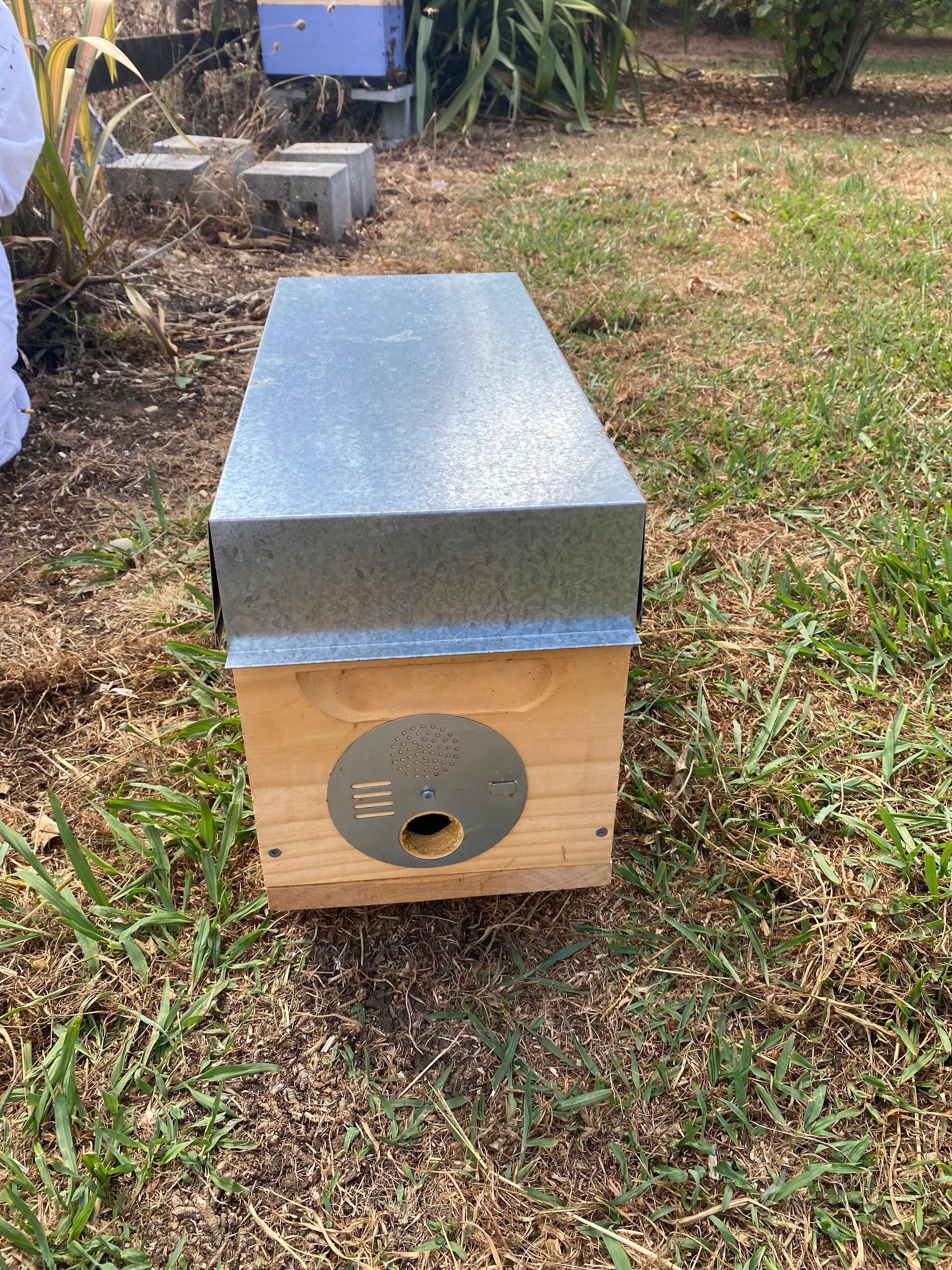 Nuc Entrance Disc - Metal - Ecrotek Beekeeping Supplies Australia